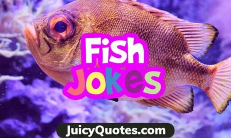 These 200 + Fish Puns Will Have You Bubbling Over With Laughter